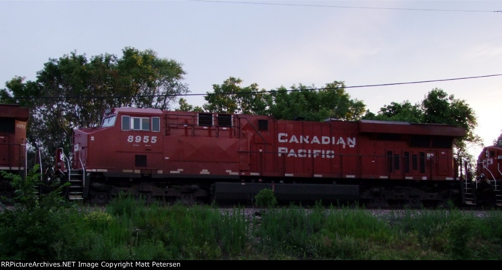 CP 8955